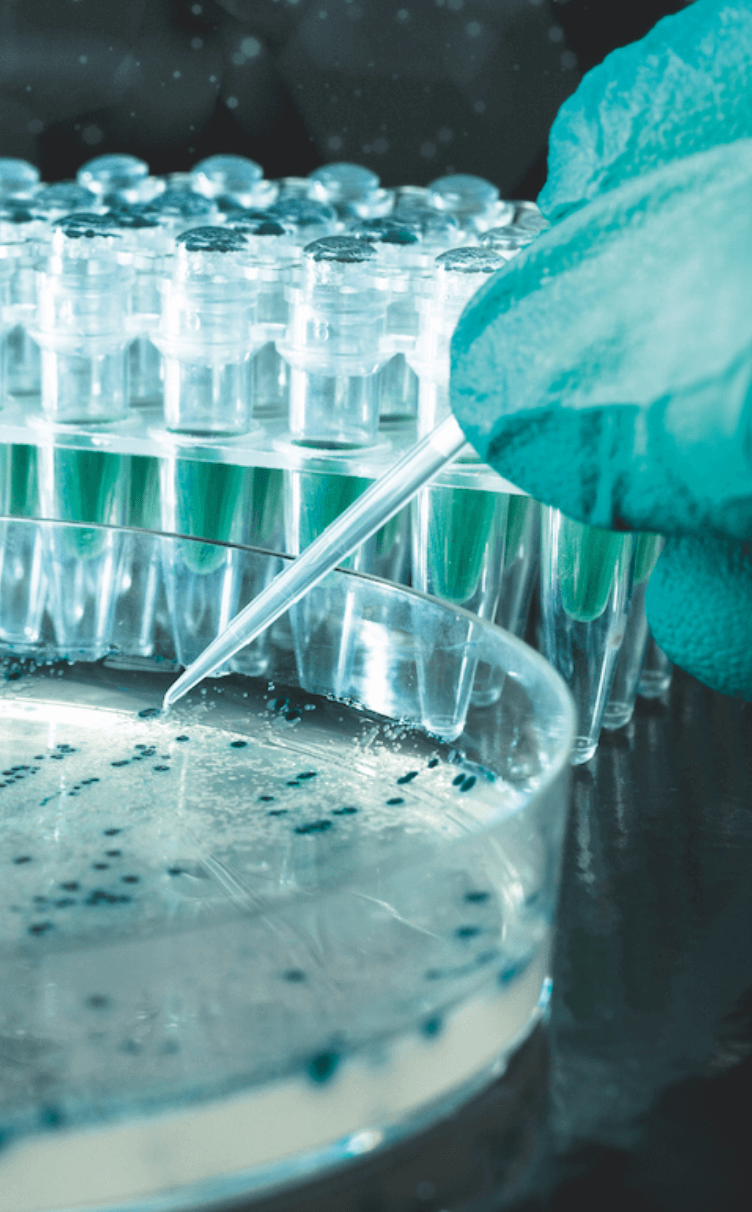 Interactive Annual Report 2022 | GARDP