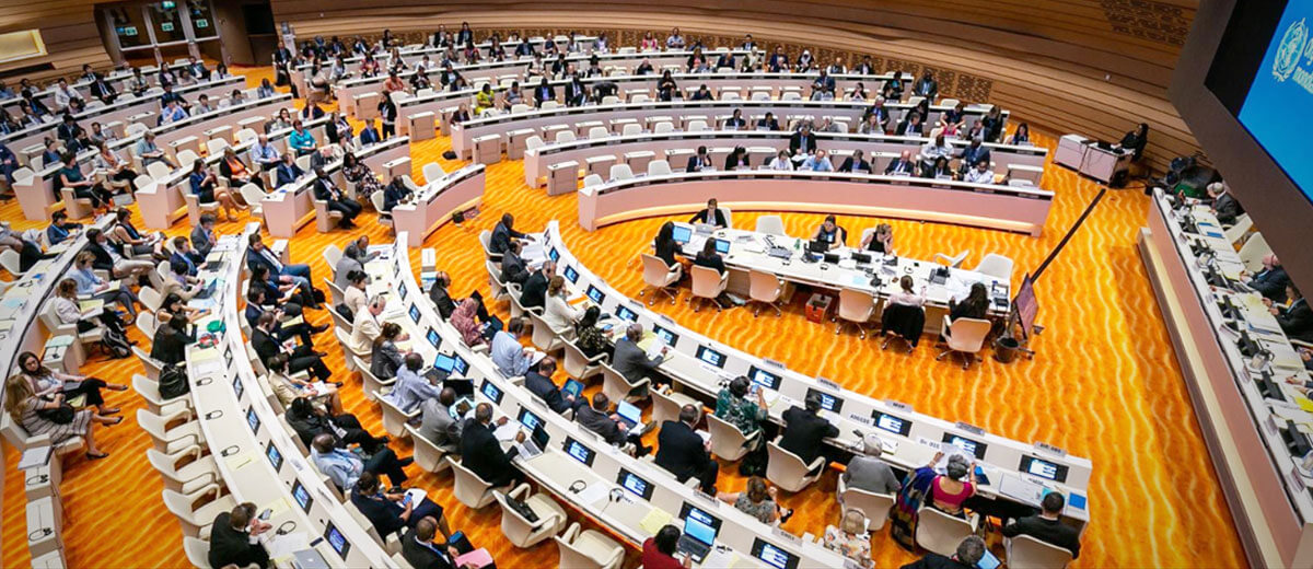 Seventy-fifth World Health Assembly | GARDP